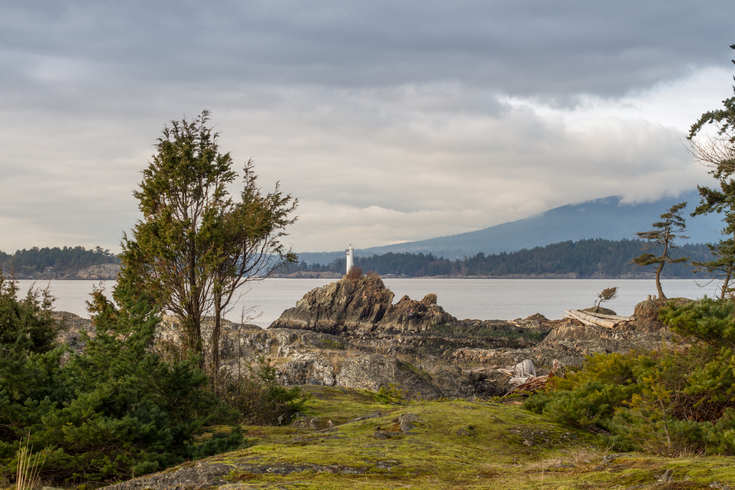 monotype – Driftwood, Rock, Crows | Cape Roger Curtis – Kirsti Wakelin